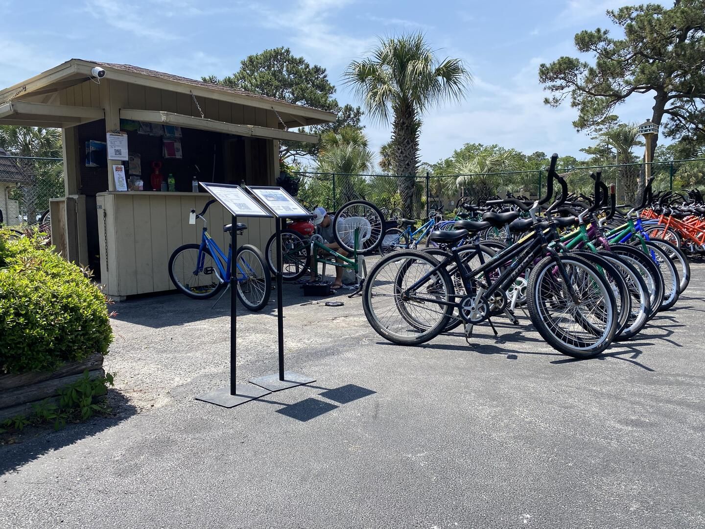 Hilton Head Island Bike Rentals